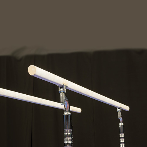 Graphite II Bar - American Athletic, Inc